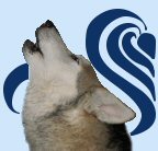Spring’s Logo | Springwolf Reflections