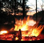 The History of Mabon – The Feast of Avalon | Springwolf Reflections