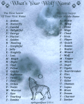 What’s Your Wolf Name | Springwolf Reflections