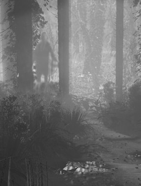 Tonight On The Ænigma Project – Slender Man and Shadow People ...