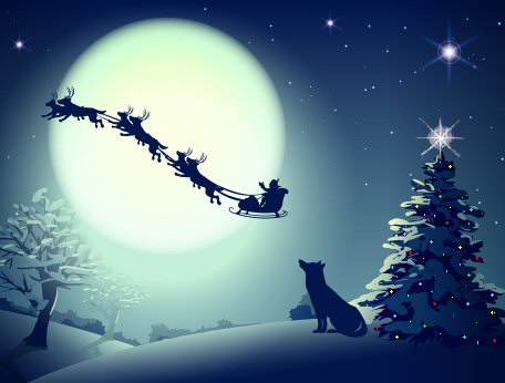 Yule Time Begins | Springwolf Reflections
